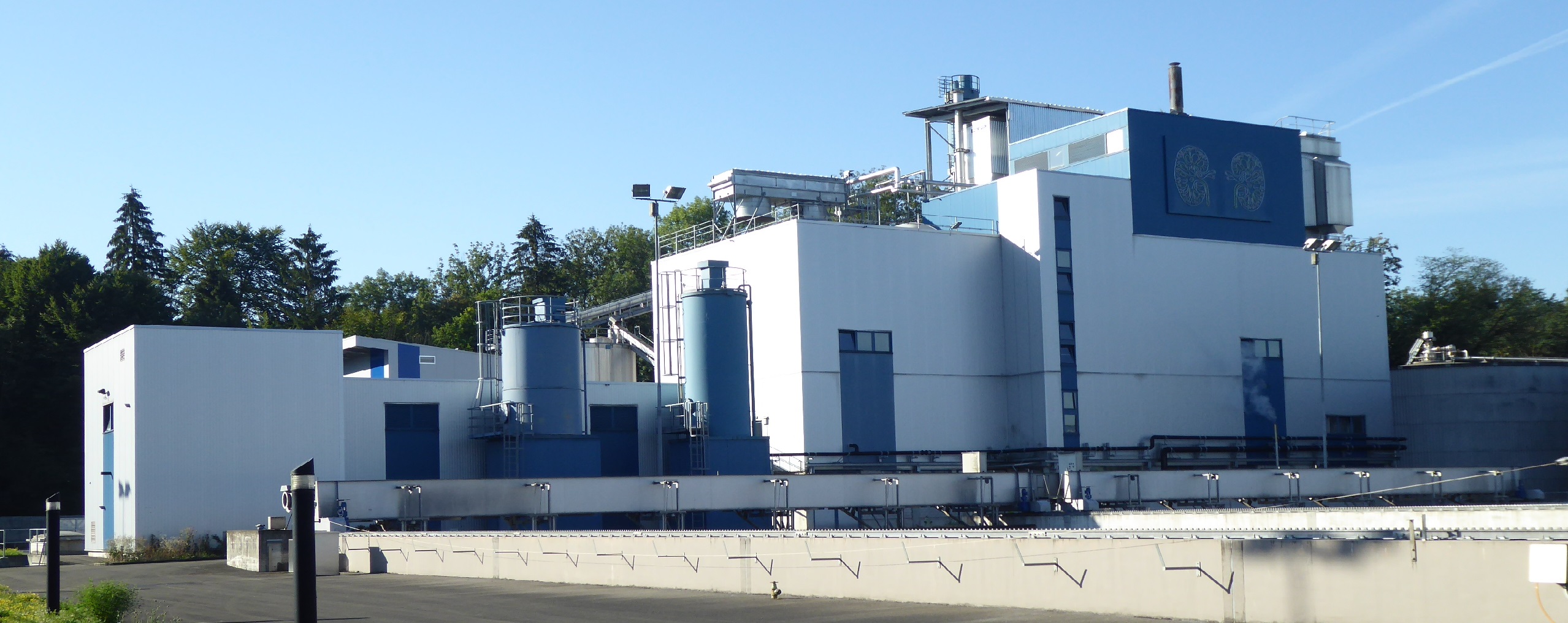 REAL, Emmen - WASCOM AG